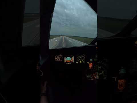 Airbus A320 landing cockpit view