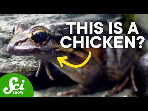 8 Species With Awful Names