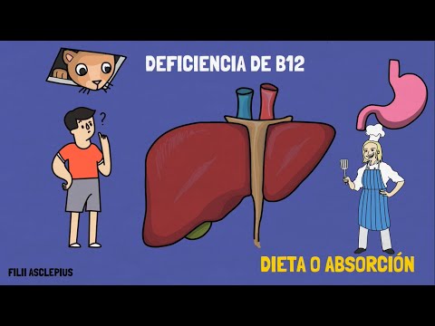 DEFICIENCIA DE VITAMINA B12 | SIGNOS Y SÍNTOMAS