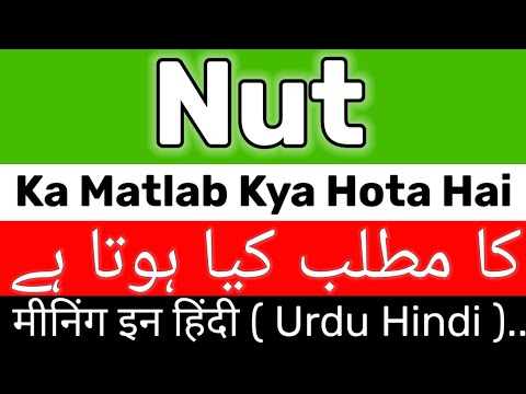 Nut Meaning | Nut Meaning In Urdu Hindi | Nut Ka Matlab Kya Hota Hai | Nut Ka Meaning Kya Hai