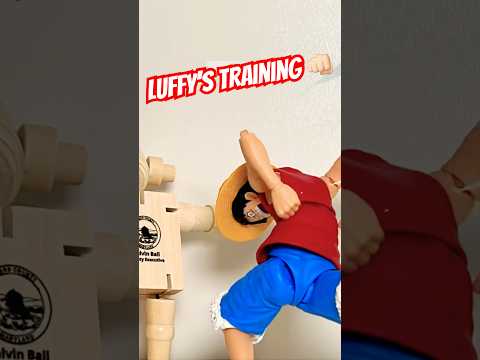 Luffy’s Gum Gum Training! #onepiece #anime #stopmotion #shfiguarts #luffy #shorts #bandai