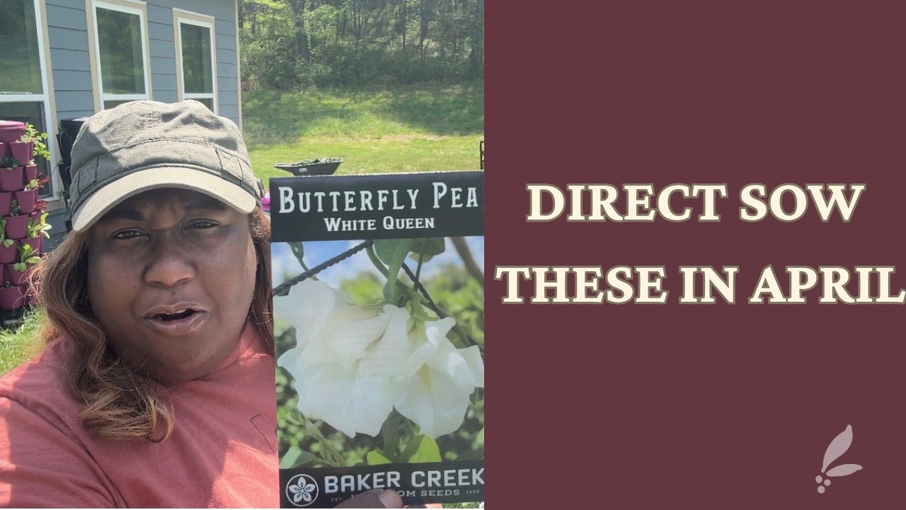 Direct Sow These in April| 1 Week Before Last Frost Date