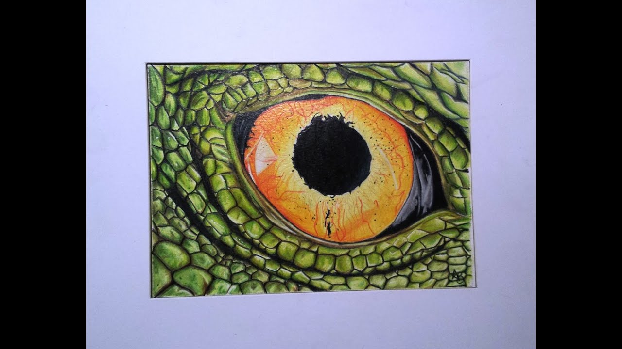 Dragon/Lizard Speed Drawing