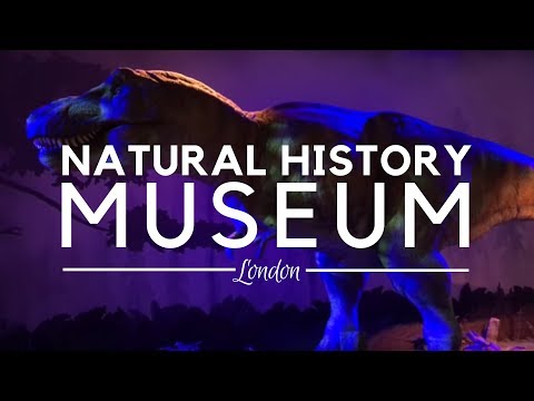 Natural History Museum in London; Museum of Nature in London