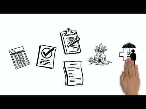 What are CMS Audits?
