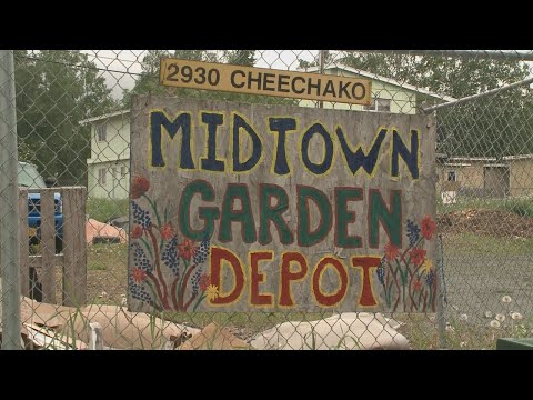 A hidden gem in the Anchorage gardening community- Midtown Garden Depot & Community Garden