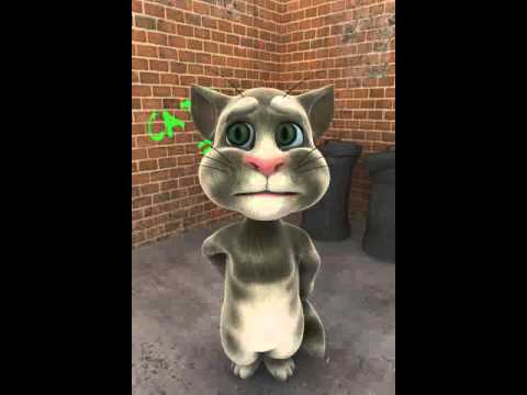 fat cat