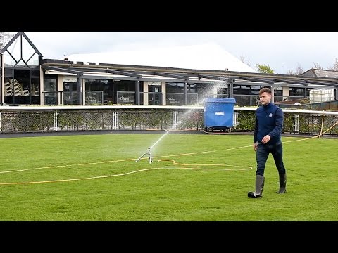 The grass trainers of The Curragh