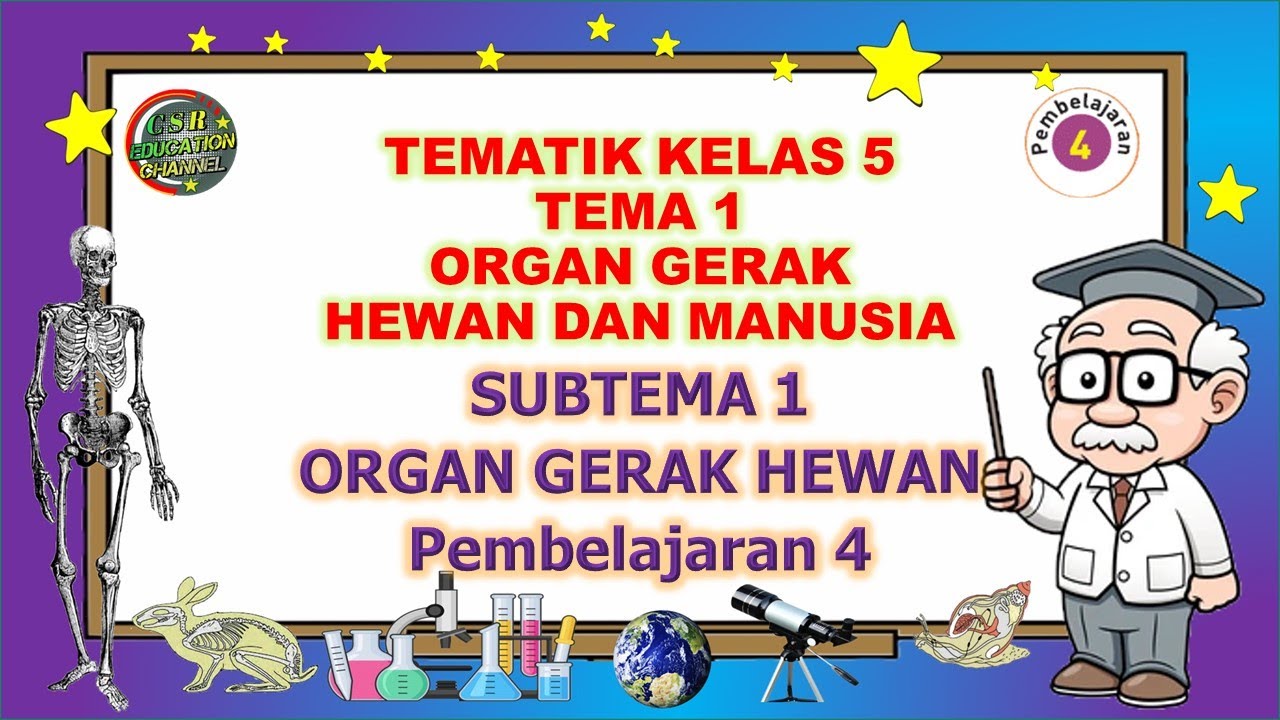Gerak Sadar dan Gerak Refleks, Apa Arti dan Perbedaannya? Simak ...