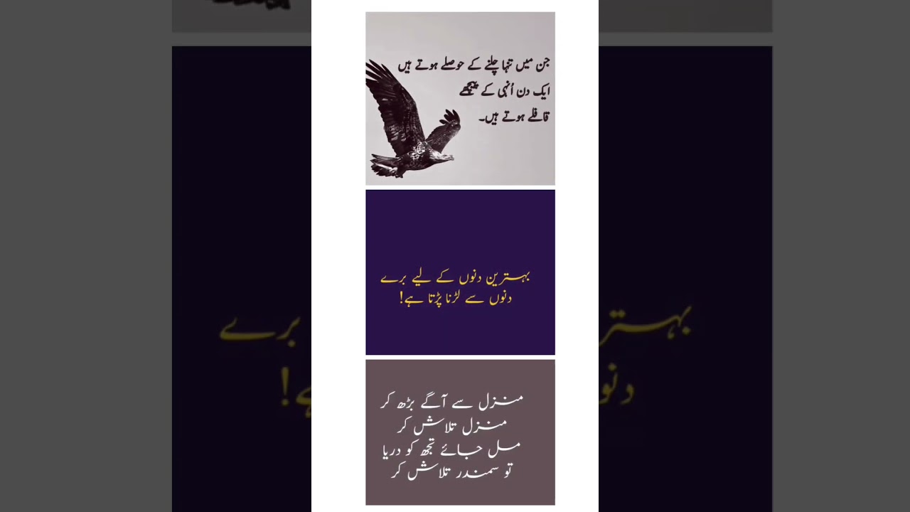 motivational quotes for students | golden words in urdu