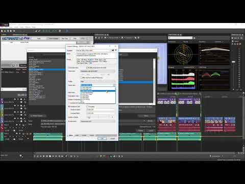Pre render in sony vegas 14 - sanymiami
