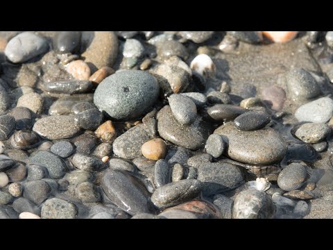 Sediments and Sedimentary Rocks