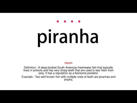How to pronounce piranha - Vocab Today