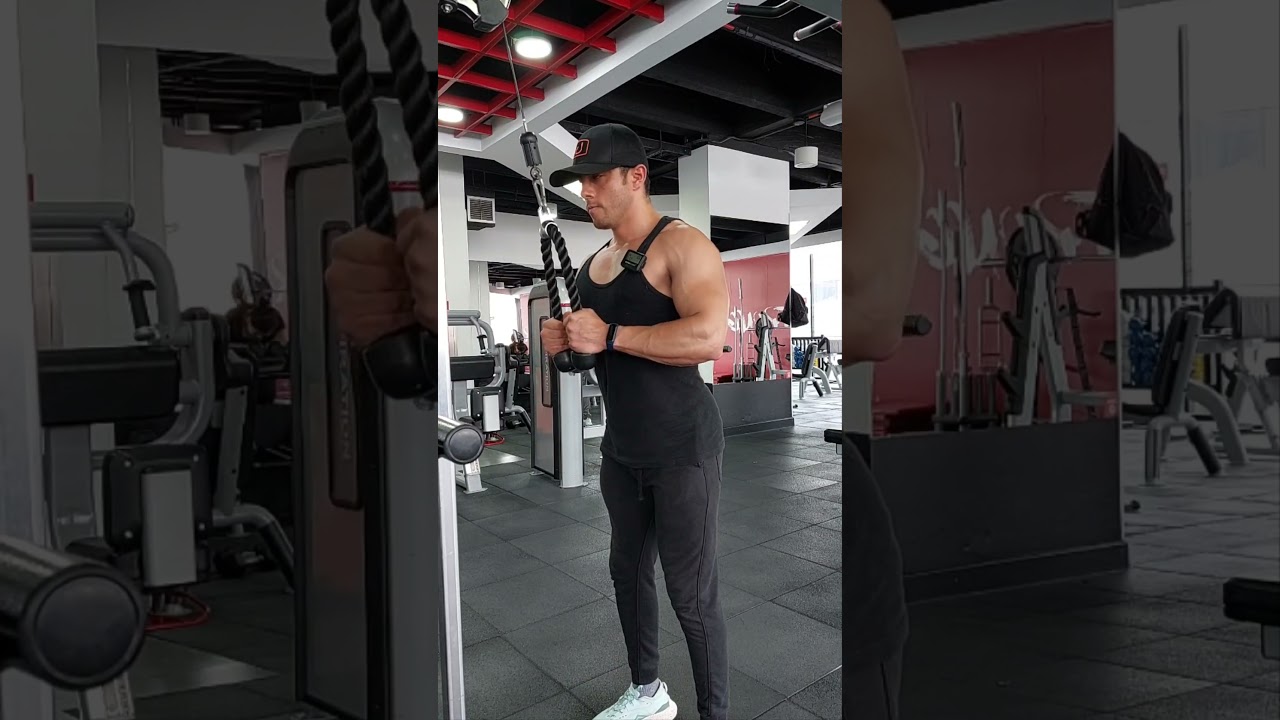 EXTENSIÓN DE CODO CON POLEA Y LAZO