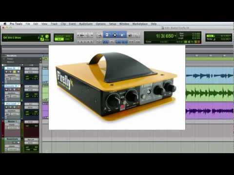 Radial Engineering Firefly DI iMuso