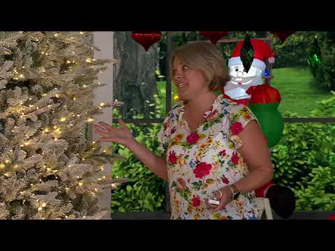 Bethlehem Lights 11' Micro LED Christmas Tree w/ Storage Bag on QVC