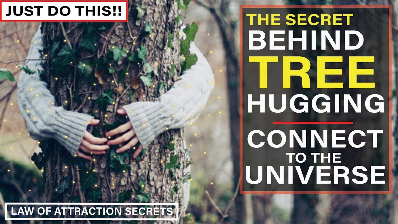 Why TREE HUGGING is Good For You | Connect to The Universe Like This! [Law of Attraction]