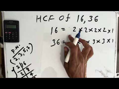 Hcf of 16 36 | lcm and hcf | Maths | Hindi