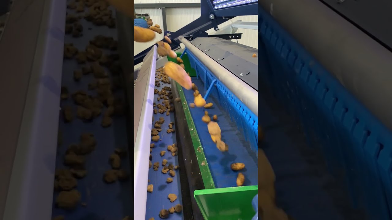 How Do Potatoes Get Sorted So Fast? | TOMRA 3A Potato Sorting Machine