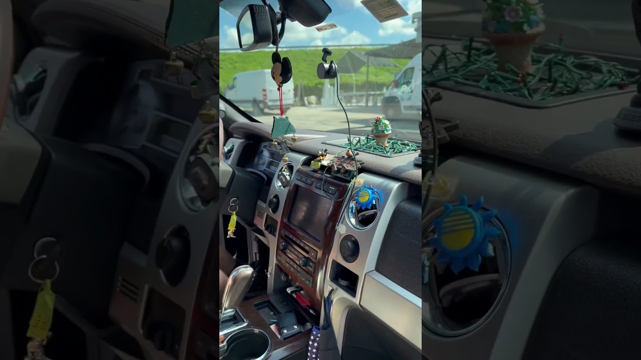 Metallic Rattle on Cold Start! Ford 5.4 Timing Chain Noise!