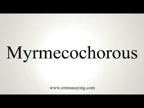 How To Pronounce Myrmecochorous
