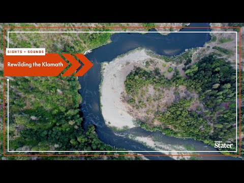 Rewilding the Klamath