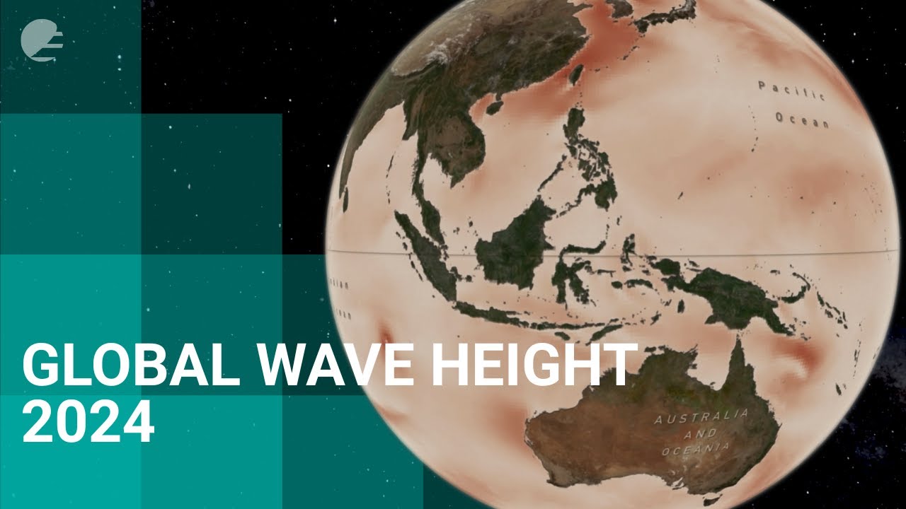 The pulse of the planet: Global wave height 2024