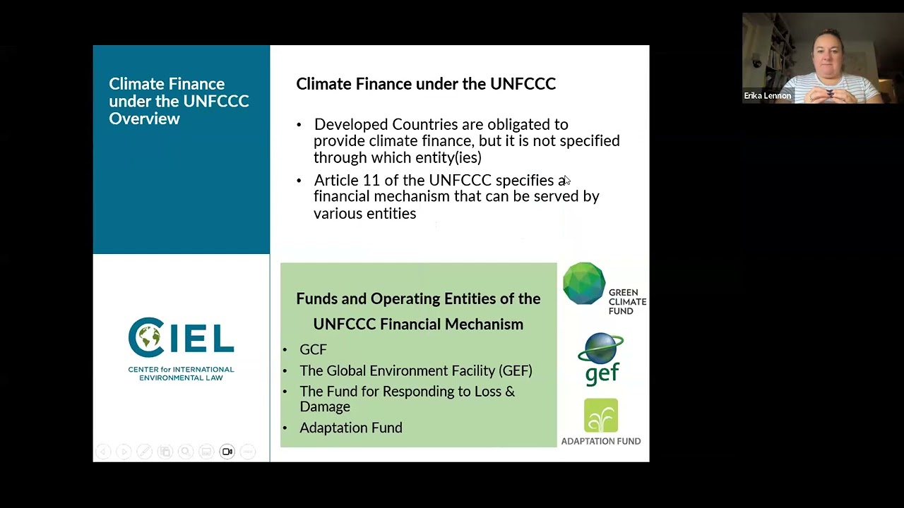Session 1 of the 2024 GCF Watch International Webinar Series
