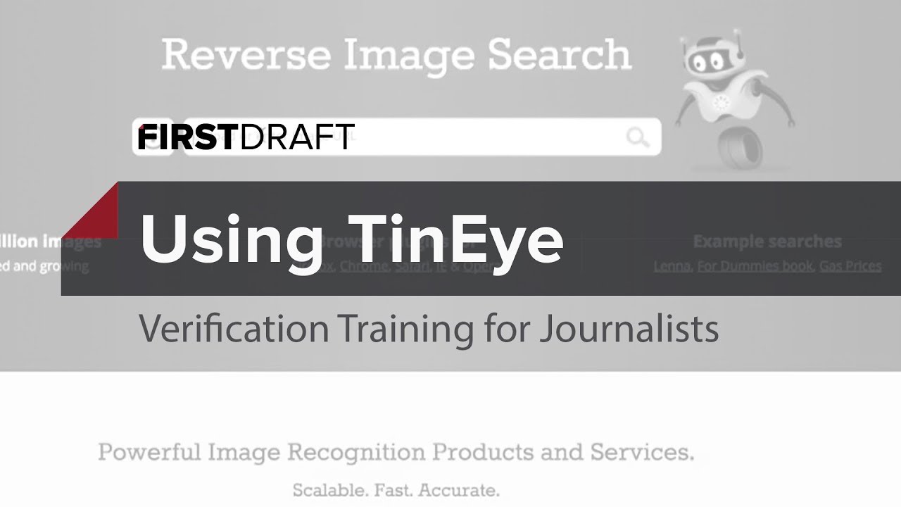 Reverse Image Search With TinEye