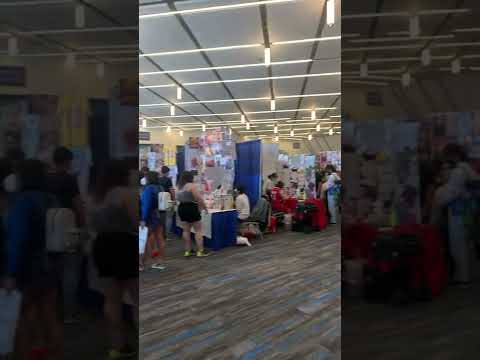 Fanime 2022 venders art