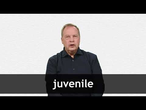 JUVENILE definition and meaning | Collins English Dictionary