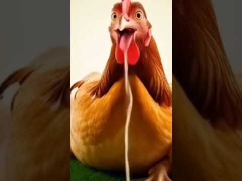 Dreamy Cock!!๐๐๐๐#cartoon #reels #funny #cock