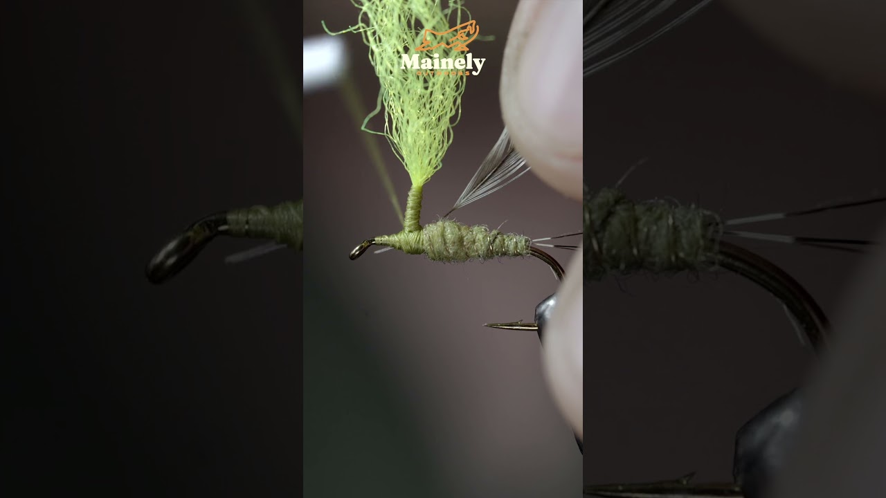 BEST Dry Fly To Use As A Mayfly!!