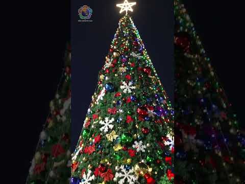 35 Foot Christmas Tree in Prasanthi Nilayam | Lighting Ceremony