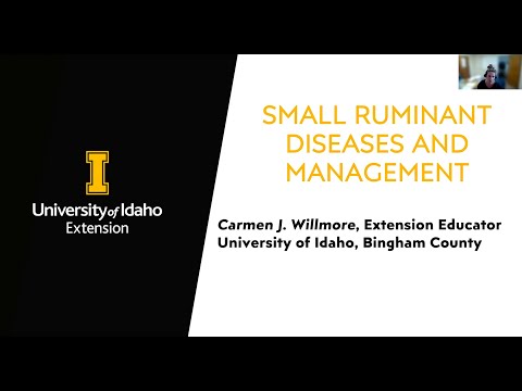 Small Ruminant Diseases and Management