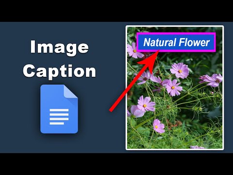 How to put caption on picture in google docs