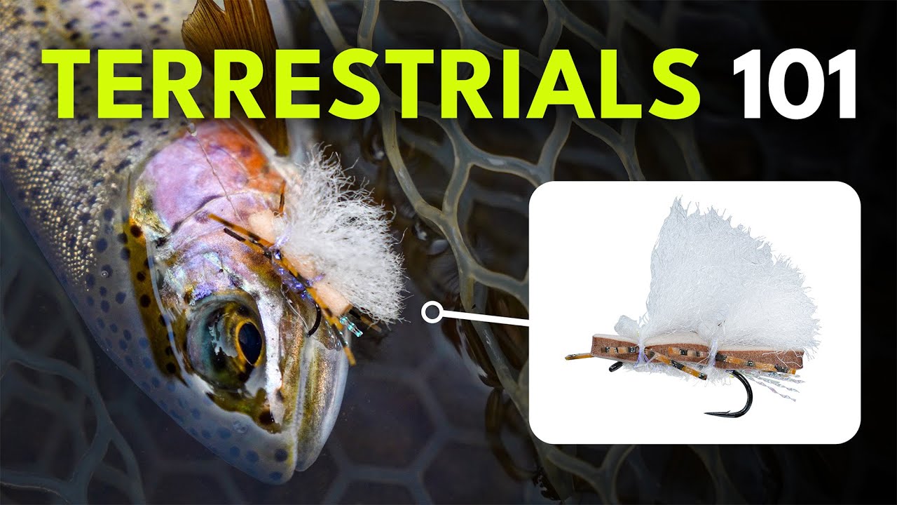 Terrestrial Flies for Trout: Top Patterns & When to Use Them | Episode 9