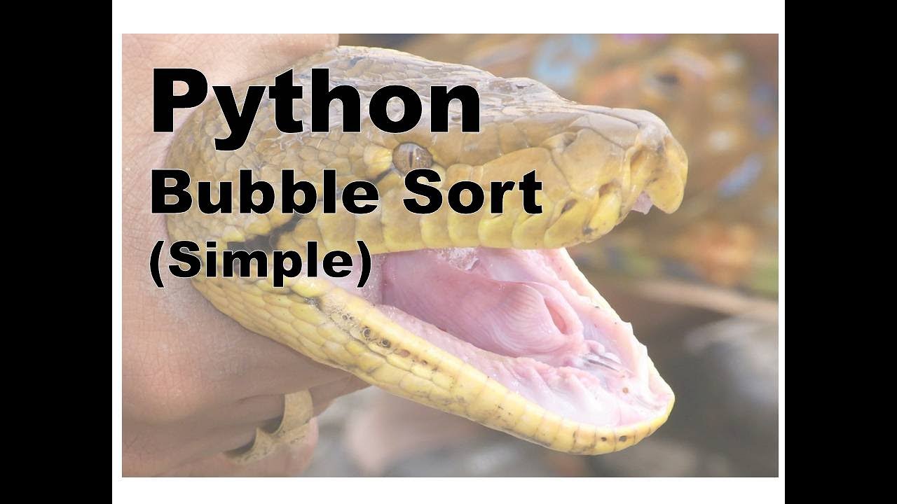 600-Python Simple Bubble Sort