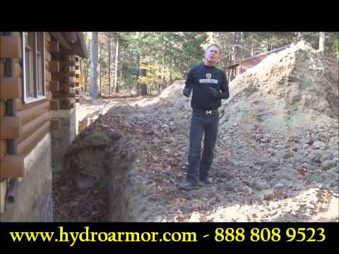 A FREE DIY Mold test to confirm a Moldy Basement