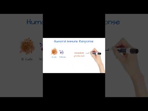 HUMORAL IMMUNITY