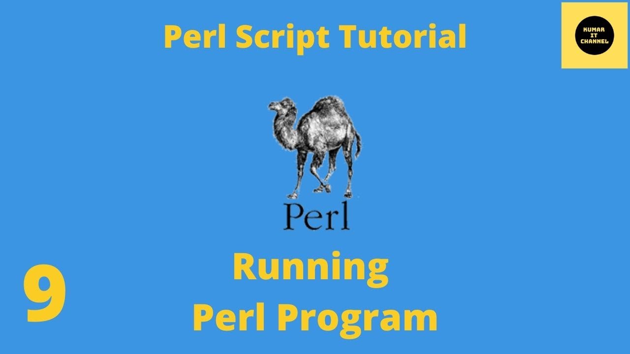 Running Perl Program - Perl Script Basics Tutorial - Part 9