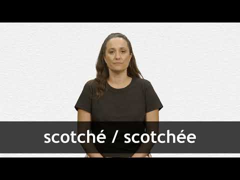 English Translation of “SCOTCHÉ” | Collins French-English Dictionary