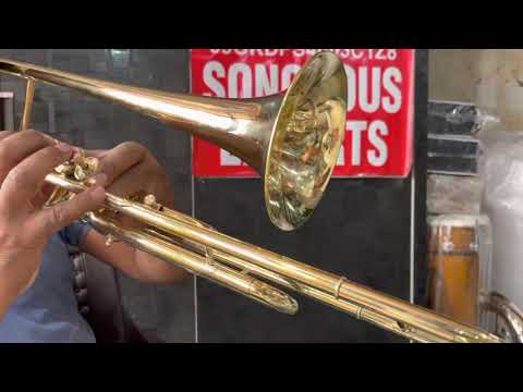 Trombone at Best Price in India