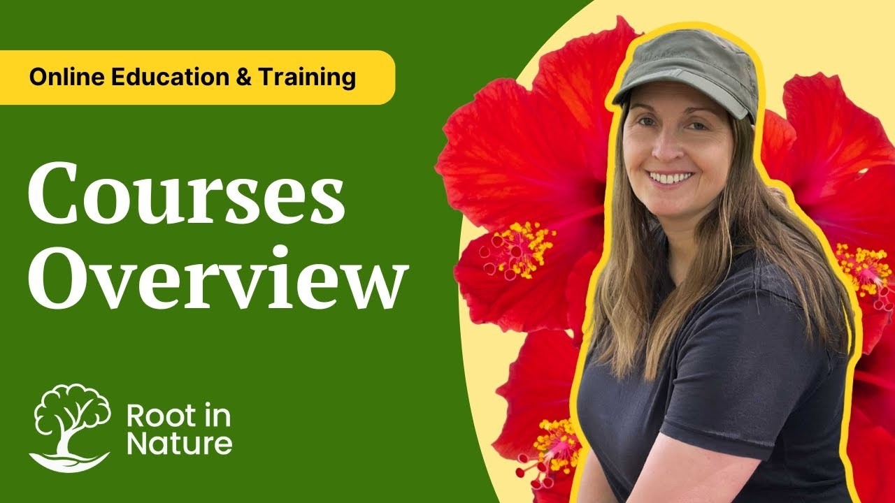 Root in Nature: Courses Overview
