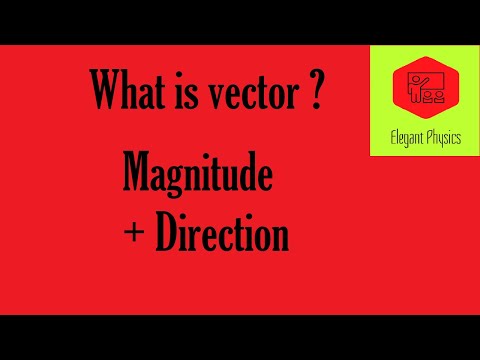 Vector | What is vector | Definition | Examples | Elegant Physics