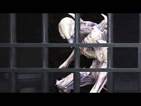 hell's smartest stone imp