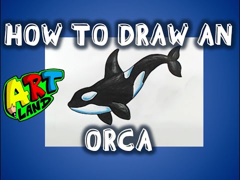 How to Draw an ORCA