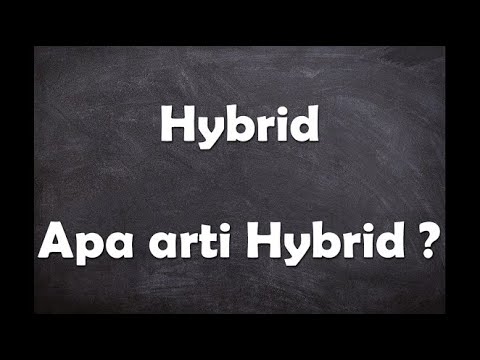 Apa arti kata Hybrid ?