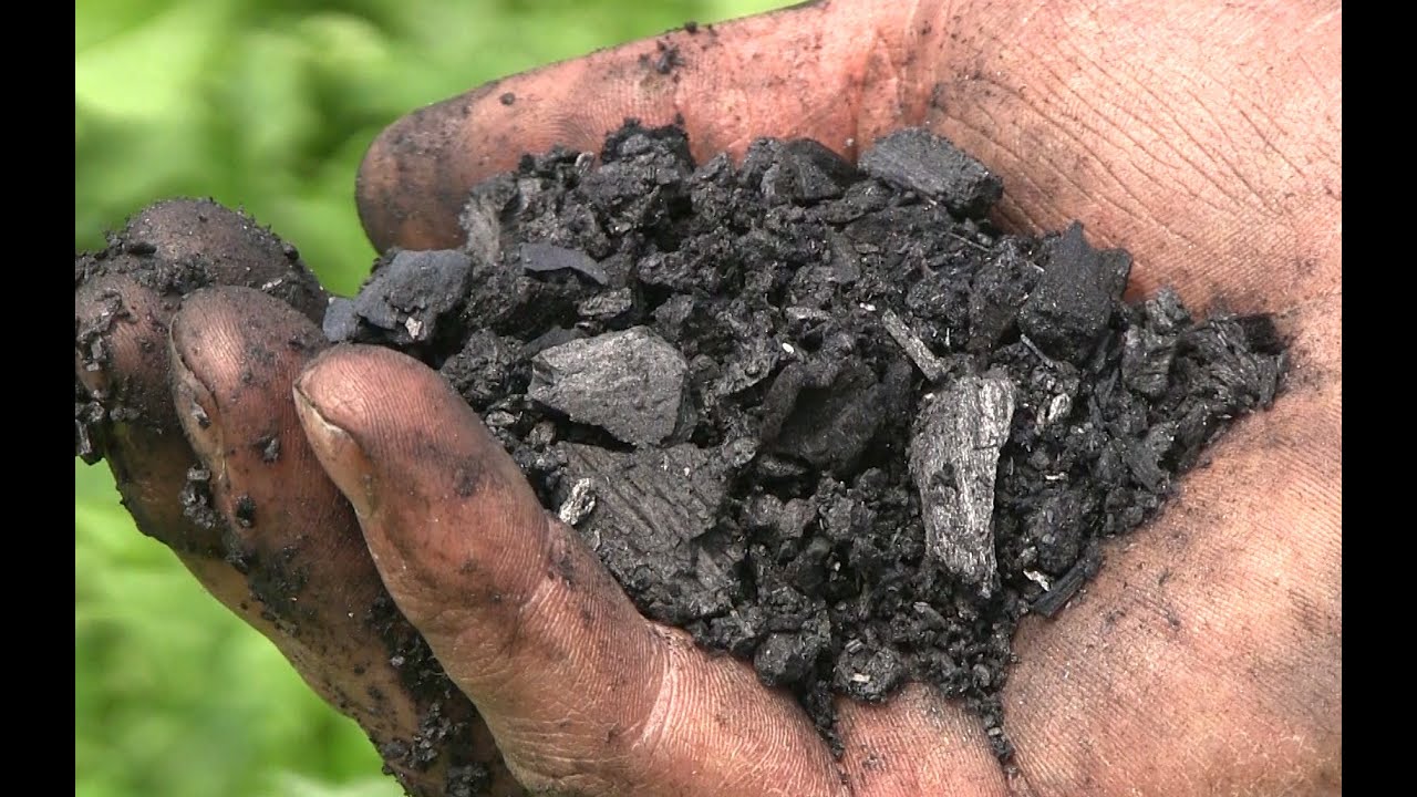 Biochar Workshop Part 1, How to Make Biochar