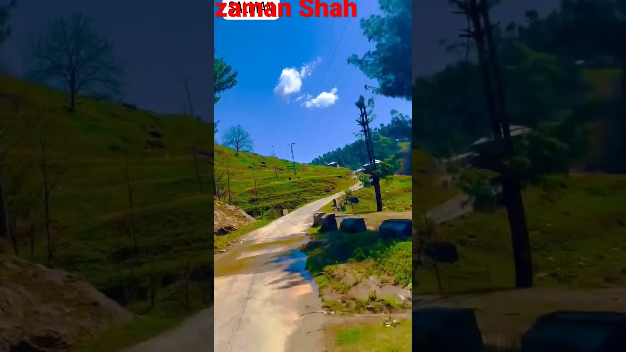 Zaman Shah My village #zaman Shah#shortvideo #shortvideo #Wqas Shah
